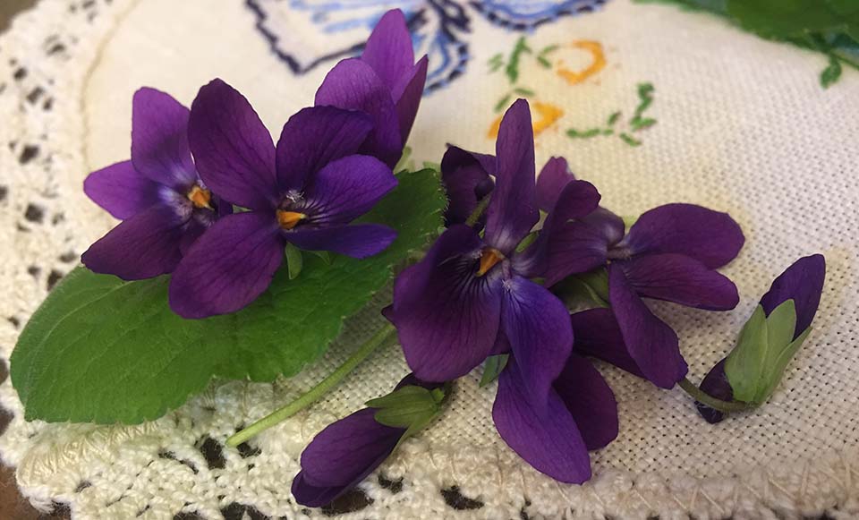 Violets-r | SBA's Kitchen @ Home