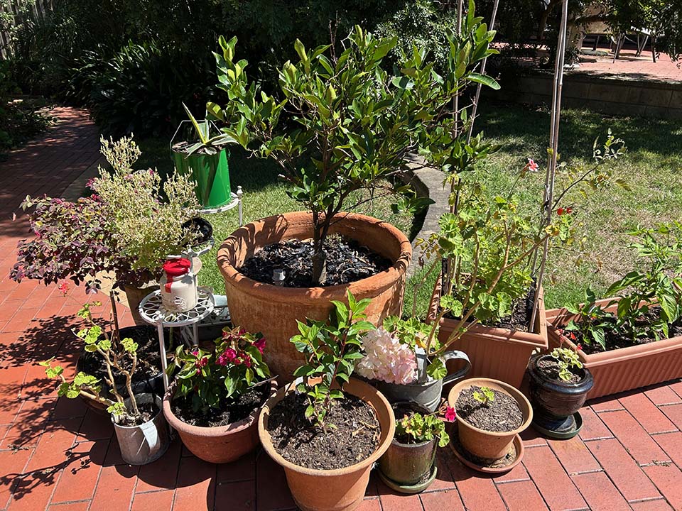 Collection of pots #1-1-r | SBA's Kitchen @ Home